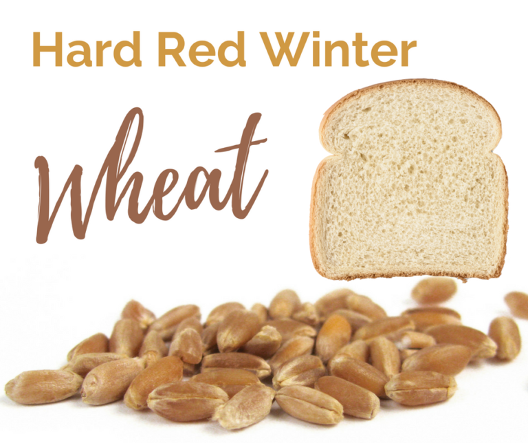 Classes of Wheat | Which Wheat for What? | EatWheat