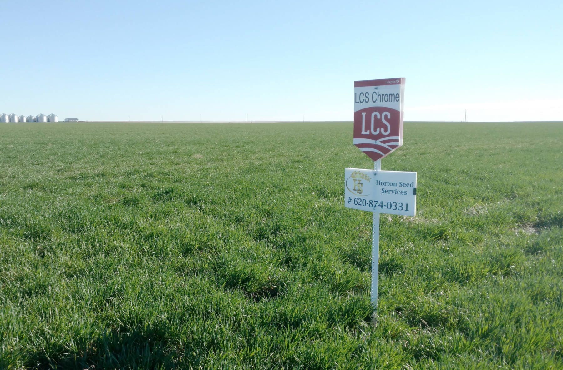 Did ‘Big Ag’ Move into the Farm Next Door? | Eat Wheat