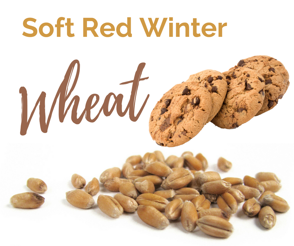 Classes of Wheat | Which Wheat for What? | EatWheat