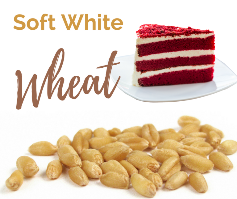 Classes of Wheat | Which Wheat for What? | EatWheat