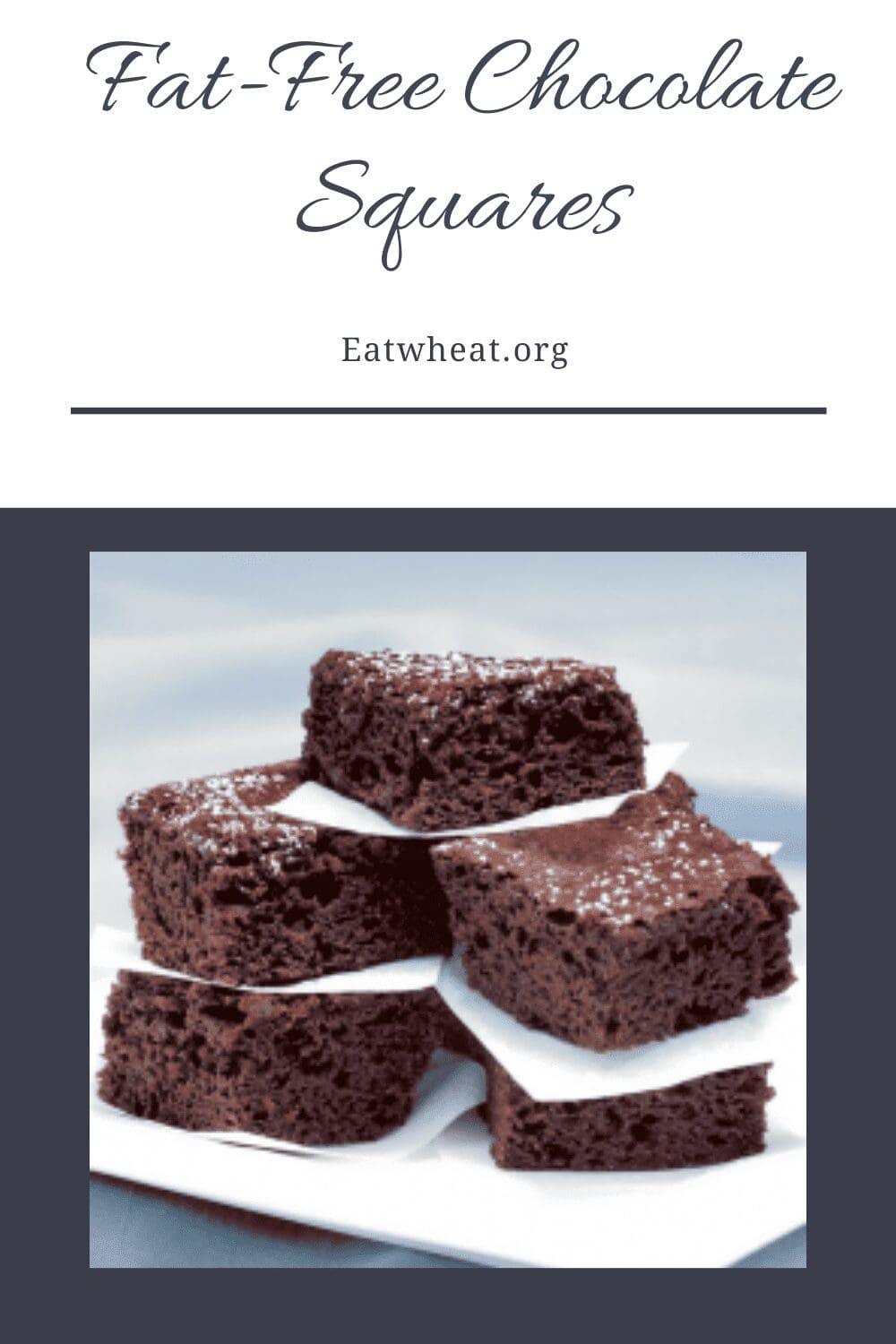 Fat-Free Chocolate Squares | Recipes | Eat Wheat