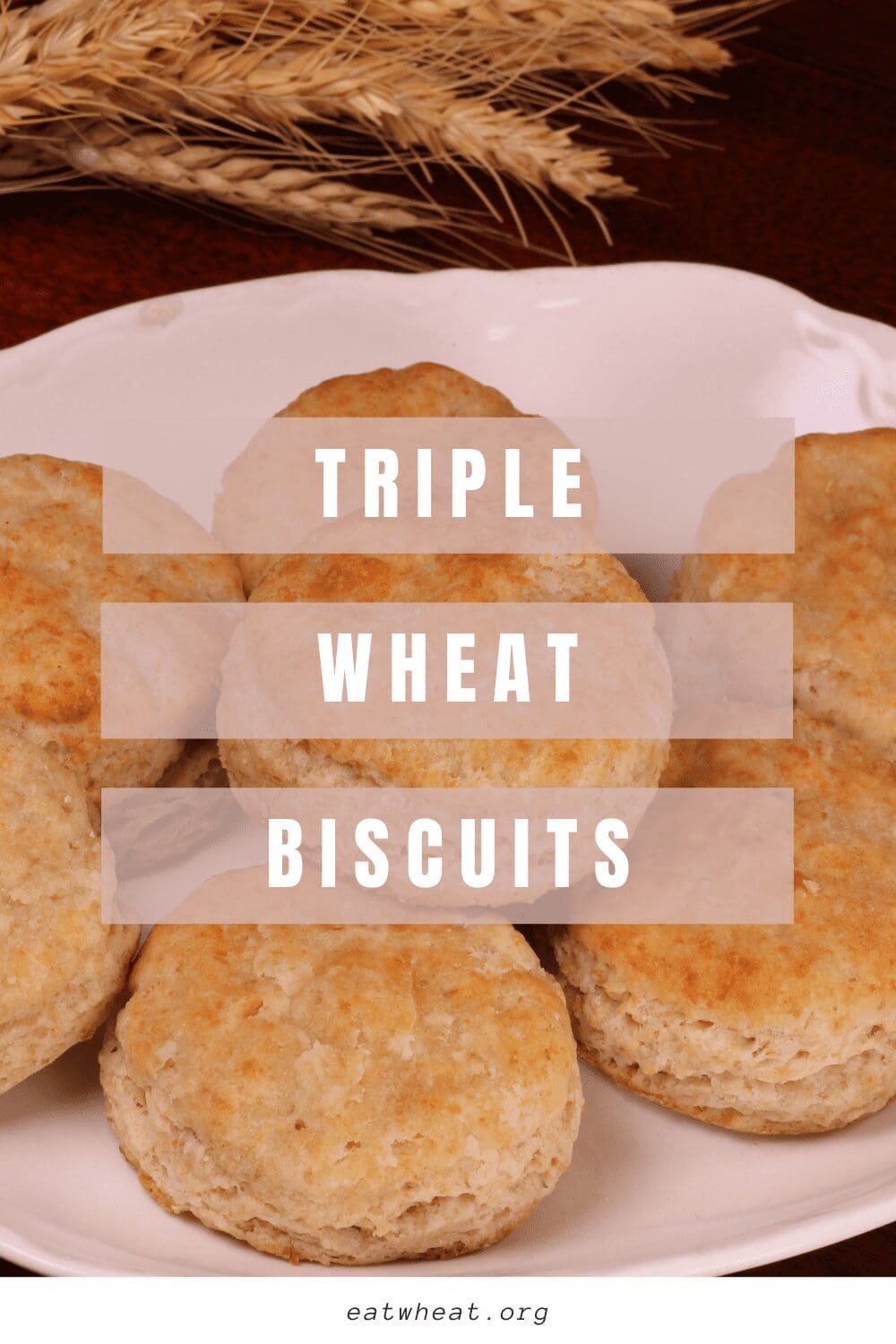 Triple Wheat Biscuits | Eat Wheat