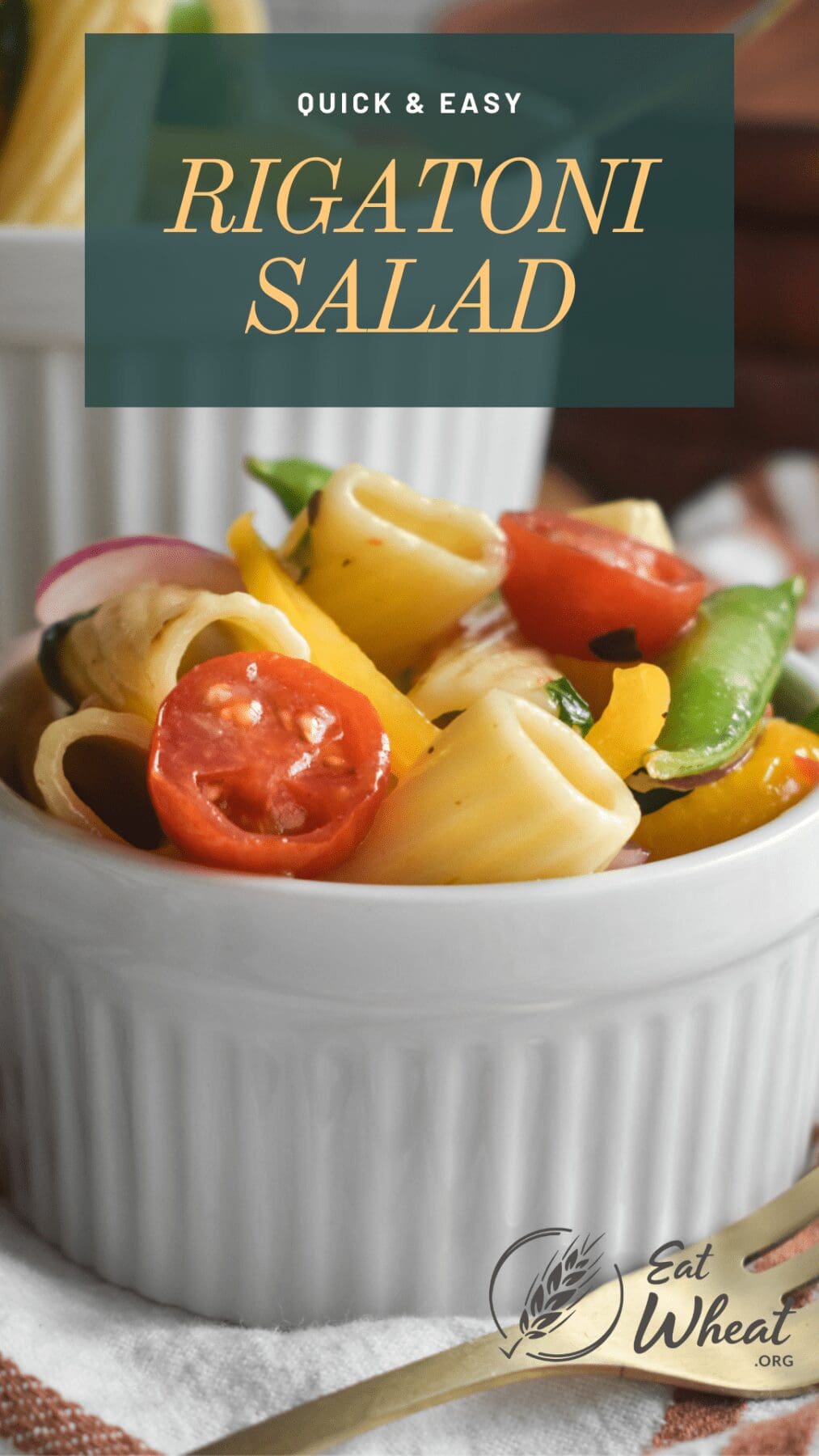 Rigatoni Salad | Pasta Recipes | Eat Wheat