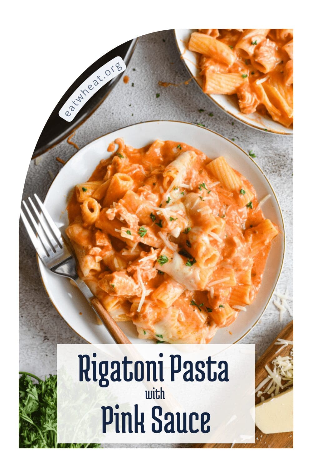 Rigatoni Pasta with Pink Sauce | Recipes | Eatwheat.org