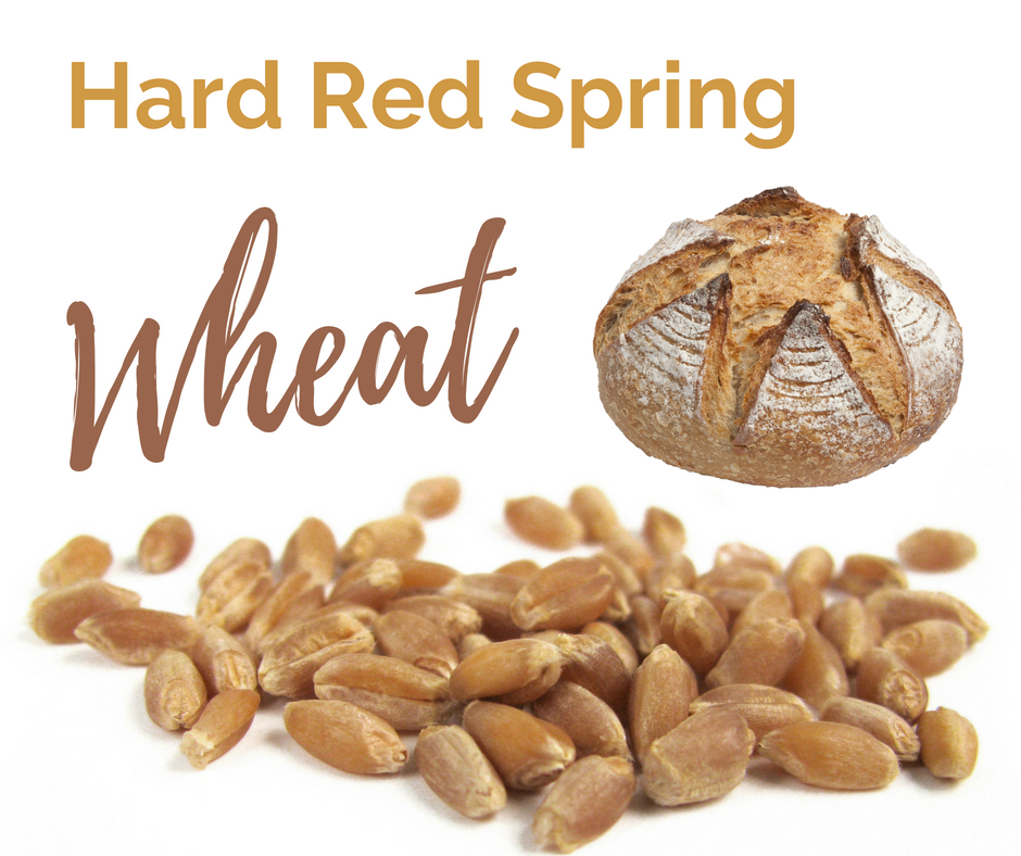 Hard Red Spring Wheat | High Protein Wheat | Eat Wheat